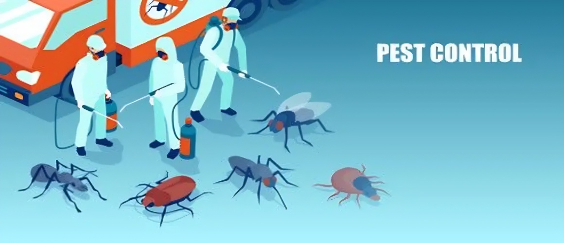 Best Pest Control Services In India Technical Pest Control